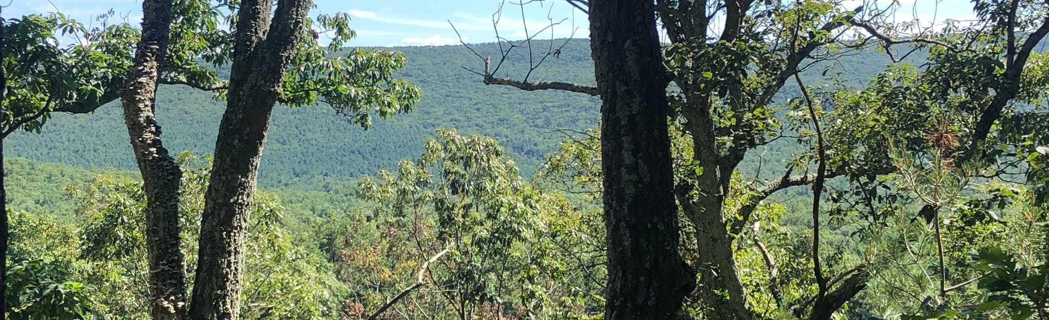 Sunset Rocks: 114 Reviews, Map - Pennsylvania | AllTrails