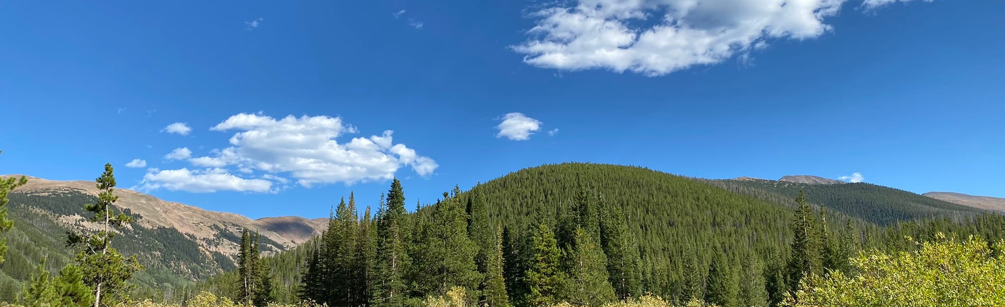 Discovery and Challenger Loop, Colorado - 790 Reviews, Map | AllTrails