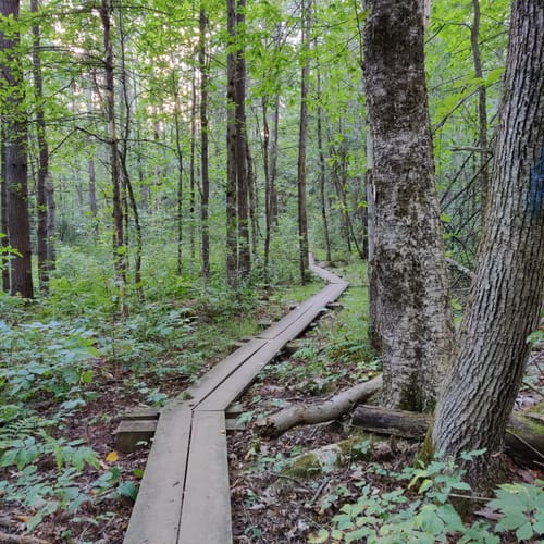 Best Hikes and Trails in Indian Brook Park | AllTrails