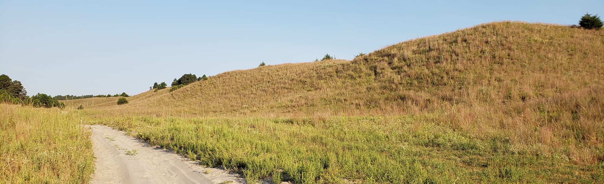 Bessey OHV Loop: 4 Reviews, Map - Nebraska | AllTrails