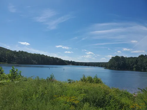 10 Best Lake Trails in French Creek State Park | AllTrails