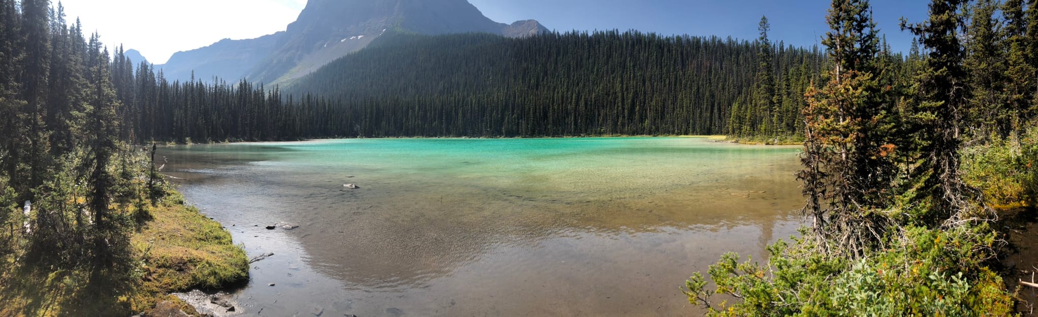 Marushka (Shark) Lake Trail: 171 Reviews, Map - Alberta, Canada | AllTrails