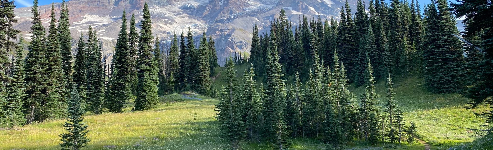 Rampart Ridge, Mildred Point, and Comet Falls, Washington - 20 Reviews ...