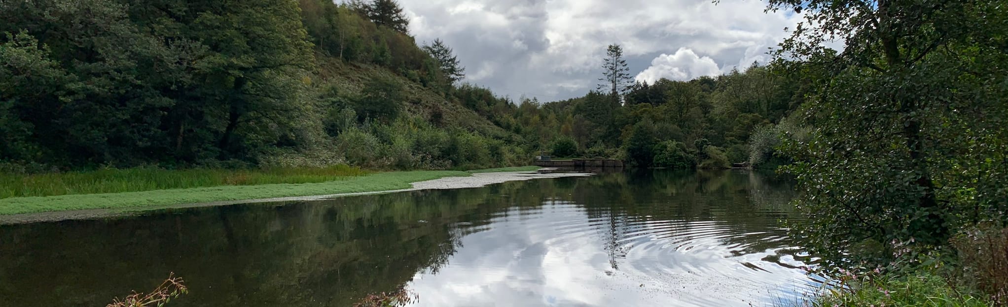 Penllergare Valley Woods Circular: 51 Reviews, Map - Swansea, Wales ...