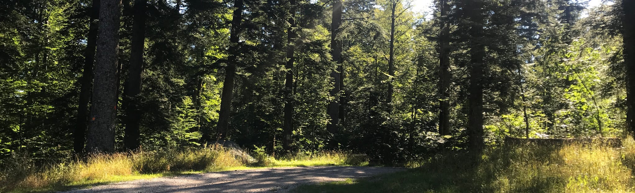 Ravna Gora - Delnice - Drgomalj, Primorje-Gorski Kotar, Croatia - Map ...