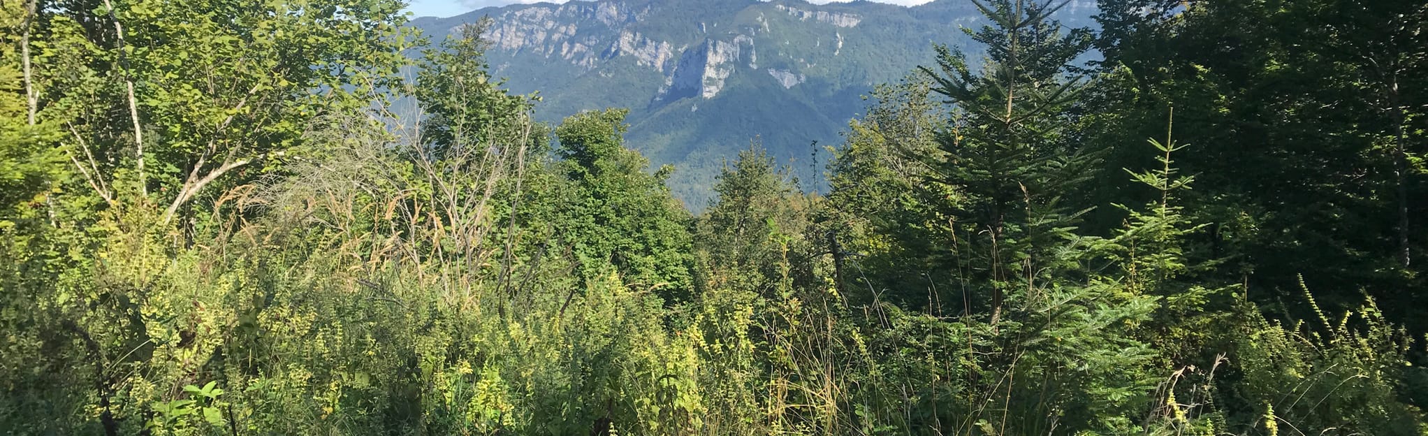 Delnice - Praprot: 1 Reviews, Map - Primorje-Gorski Kotar, Croatia ...