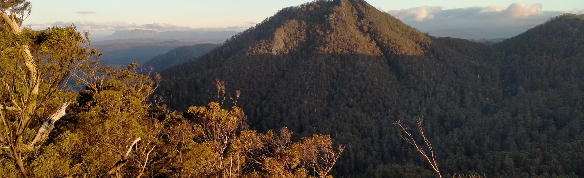 Mount Dial via Mount Gnomon, Tasmania, Australia - 74 Reviews, Map ...