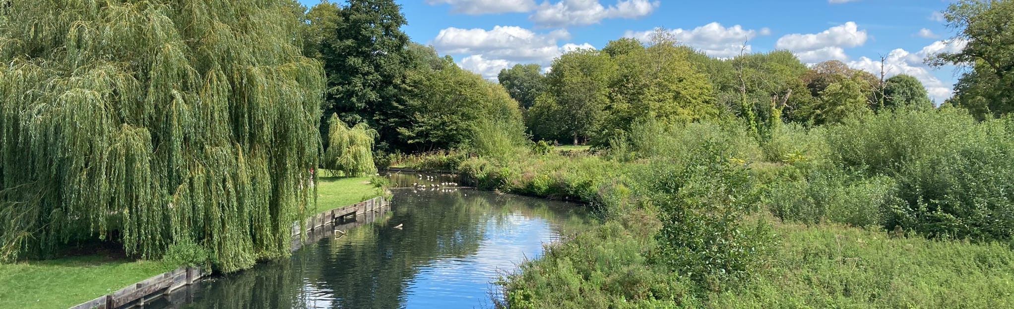 Beddington Park Circular, London, England - 70 Reviews, Map | AllTrails