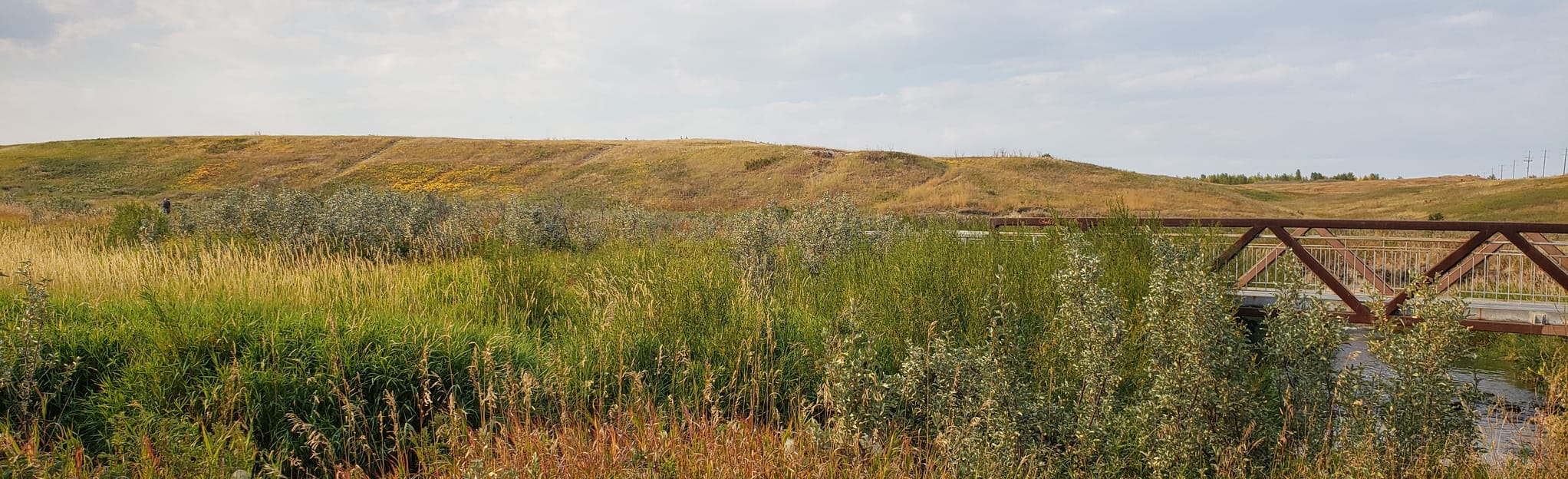 Nose Creek Pathway - Alberta, Canada | AllTrails