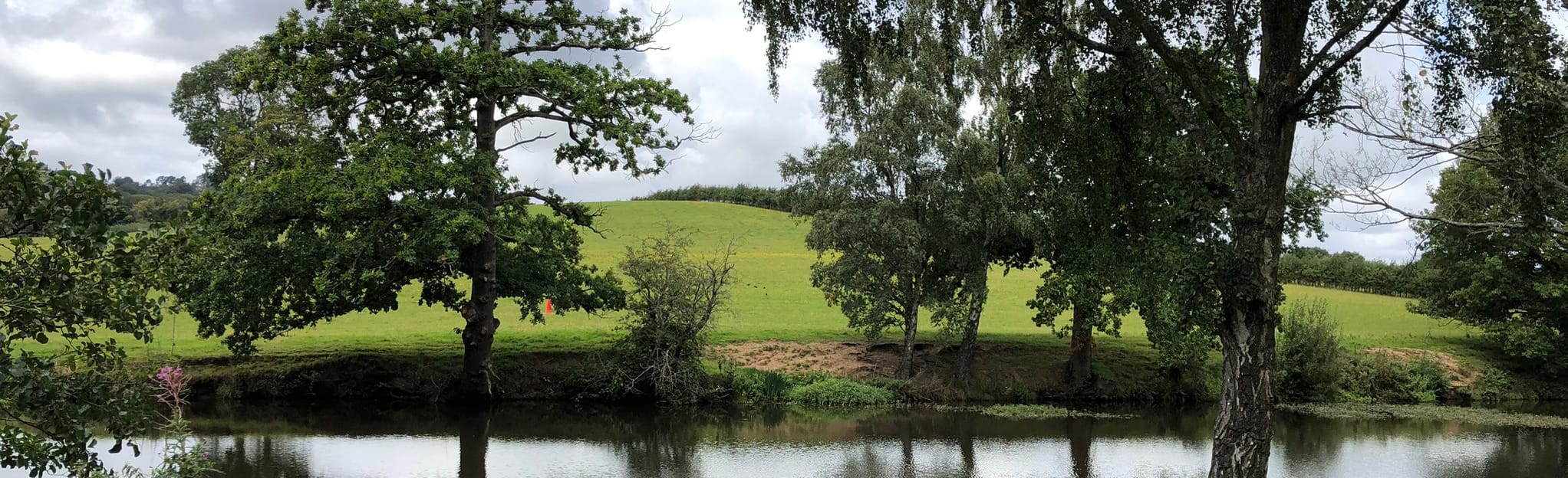 Lickey Hills and Barnt Green Circular: 344 Reviews, Map ...