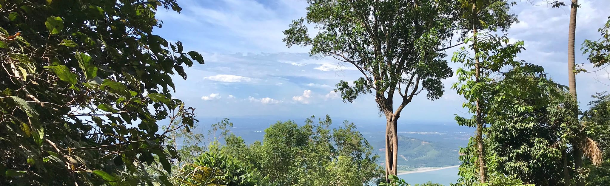 Taman Rimba Bukit Mertajam/Cherok Tokun, 247 Fotos - Penang, Malaysia ...