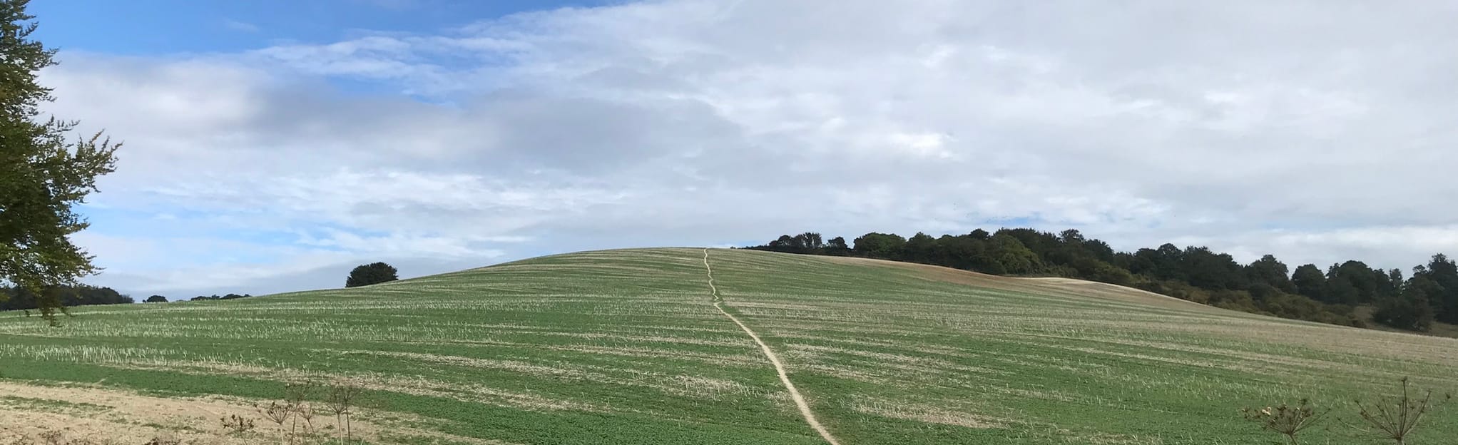 The North Downs Way: Detling to Lenham, 138 Fotos - Kent, England ...
