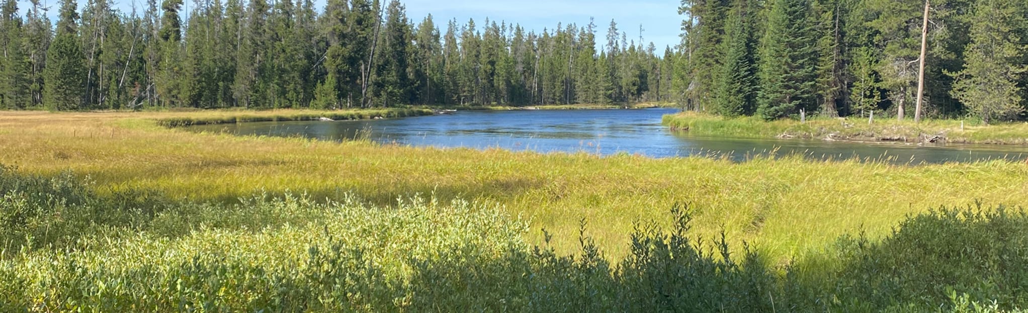 Bechler Falls and Bechler River Cutoff via Cave Falls Trailhead ...