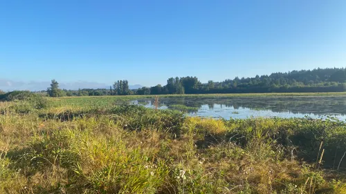 Best Hikes and Trails in Ridgefield National Wildlife Refuge | AllTrails