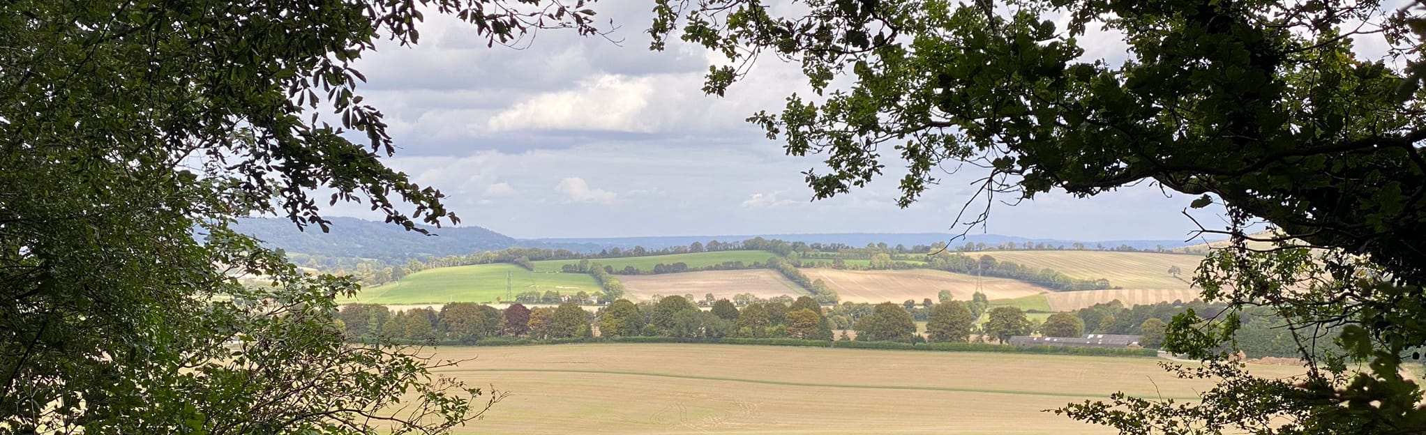East Meon Walk - Hampshire, England | AllTrails