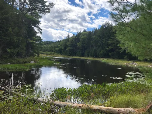 Best Fishing Trails in Tupper Lake | AllTrails