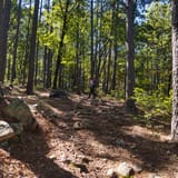 Horse Thief Spring and Ouachita Loop, Oklahoma - 188 Reviews, Map ...
