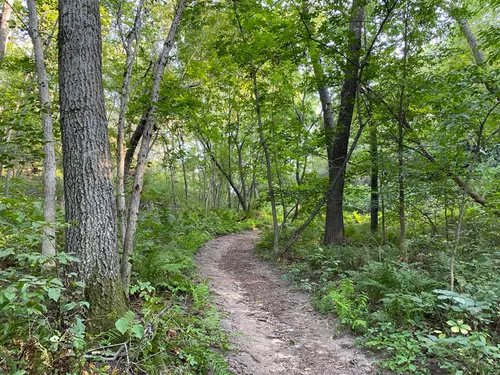 10 Best Horseback Riding Trails in Wisconsin | AllTrails