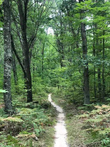 Best Hikes and Trails in Levis/Trow Mound Recreation Area | AllTrails