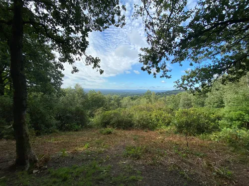 10 Best Walking Trails in Shere | AllTrails