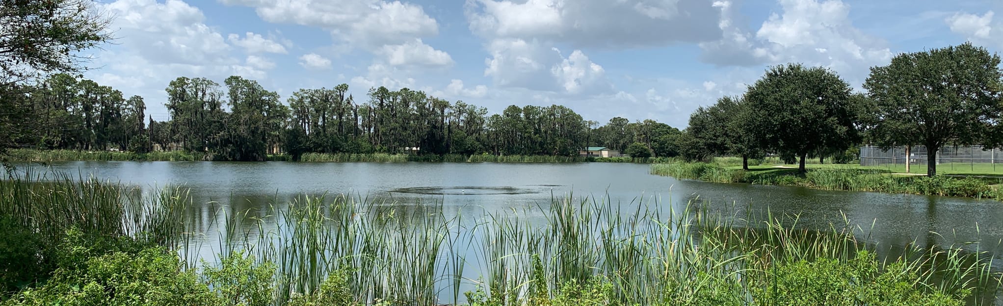 Dover Park Loop, Florida - 59 Reviews, Map | AllTrails