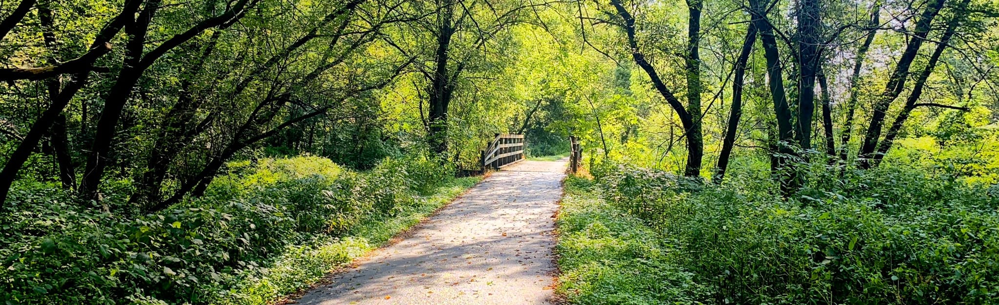 Root River Trail: Rushford to Houston, Minnesota - 33 Reviews, Map ...