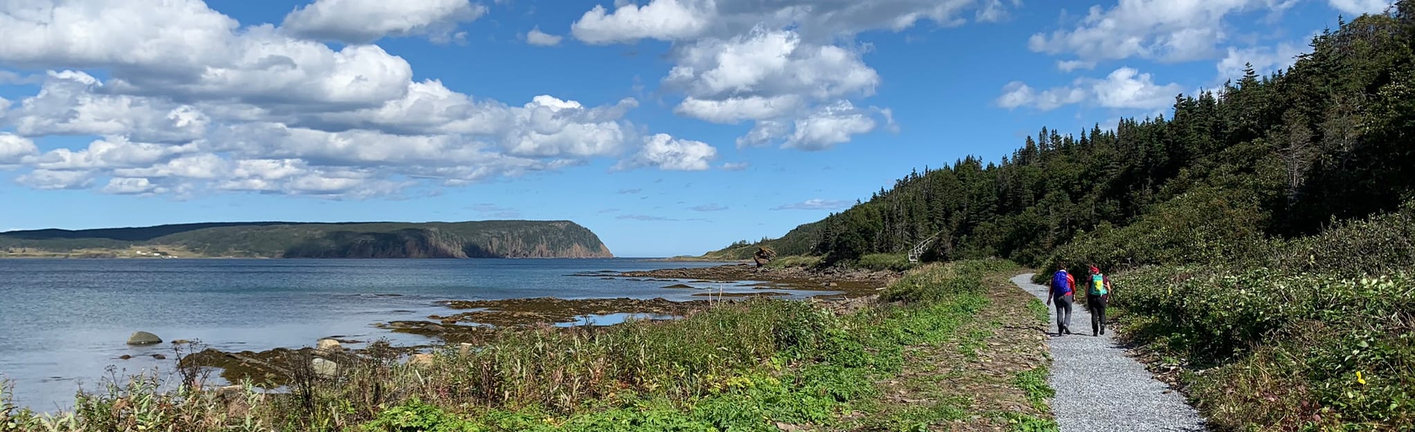Crouse Boardwalk, Newfoundland and Labrador, Canada - 3 Reviews, Map ...
