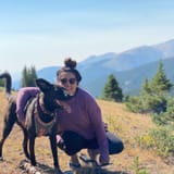 Georgia Pass 4x4 Trail, Colorado - 151 Reviews, Map | AllTrails