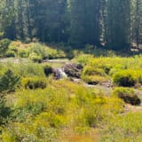 Georgia Pass 4x4 Trail, Colorado - 151 Reviews, Map | AllTrails