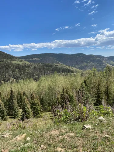 Best Off Road Driving Trails in Carson National Forest | AllTrails