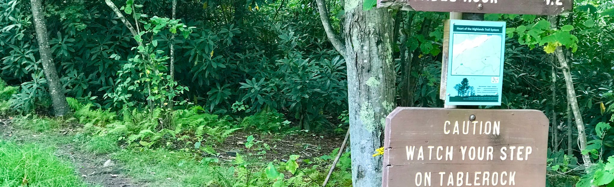 Plantation Trail: 14 Reviews, Map - West Virginia | AllTrails