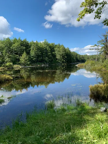 Best Hikes and Trails in Mount Everett State Reservation | AllTrails