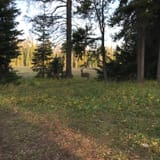 The Thorofare and South Boundary Trail, Montana - 45 Reviews, Map ...