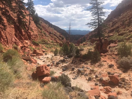 Best 10 Hikes and Trails in Fishlake National Forest | AllTrails