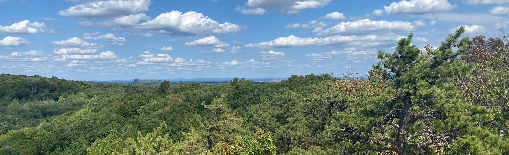 Pinnacle Rock via Metacomet Trail: 2.438 Fotos - Connecticut | AllTrails
