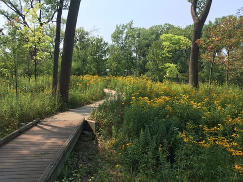 Best Hikes and Trails in West Ridge Nature Preserve | AllTrails