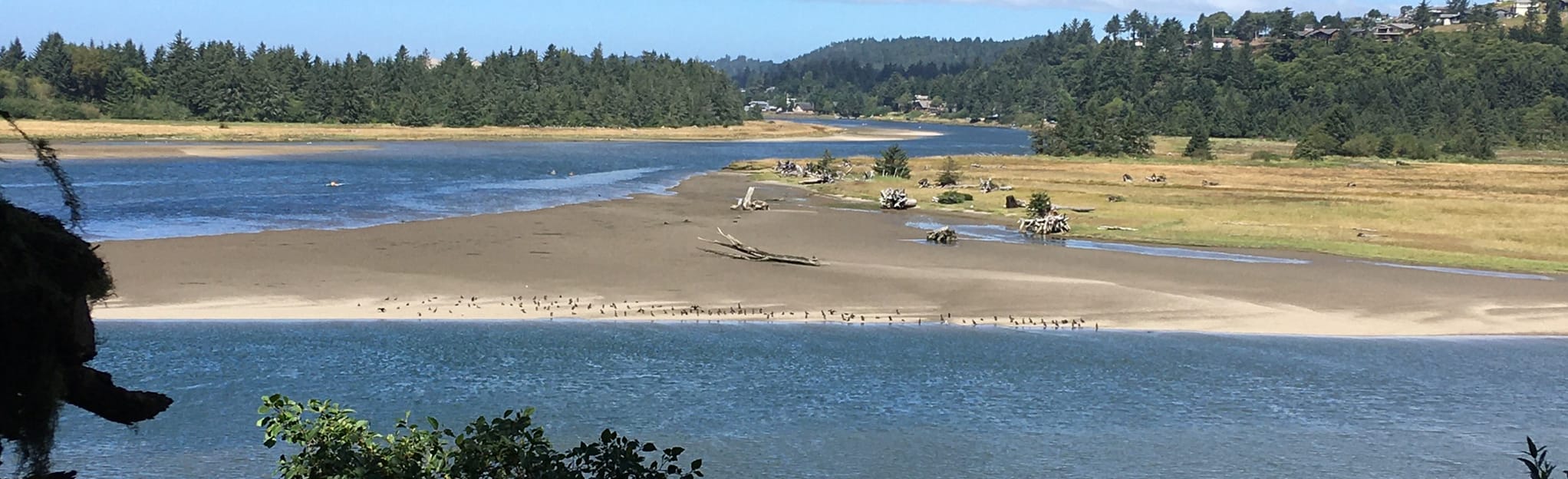 Two Rivers Trail, Oregon - 203 Reviews, Map | AllTrails