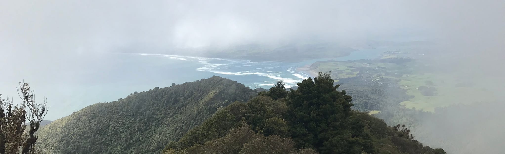 Kariori Track, Waikato, New Zealand - 30 Reviews, Map | AllTrails