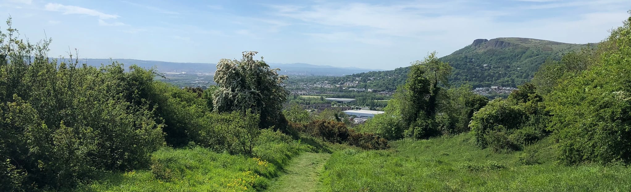 Carnmoney Hill Wood Walk, Antrim and Newtownabbey, Northern Ireland ...