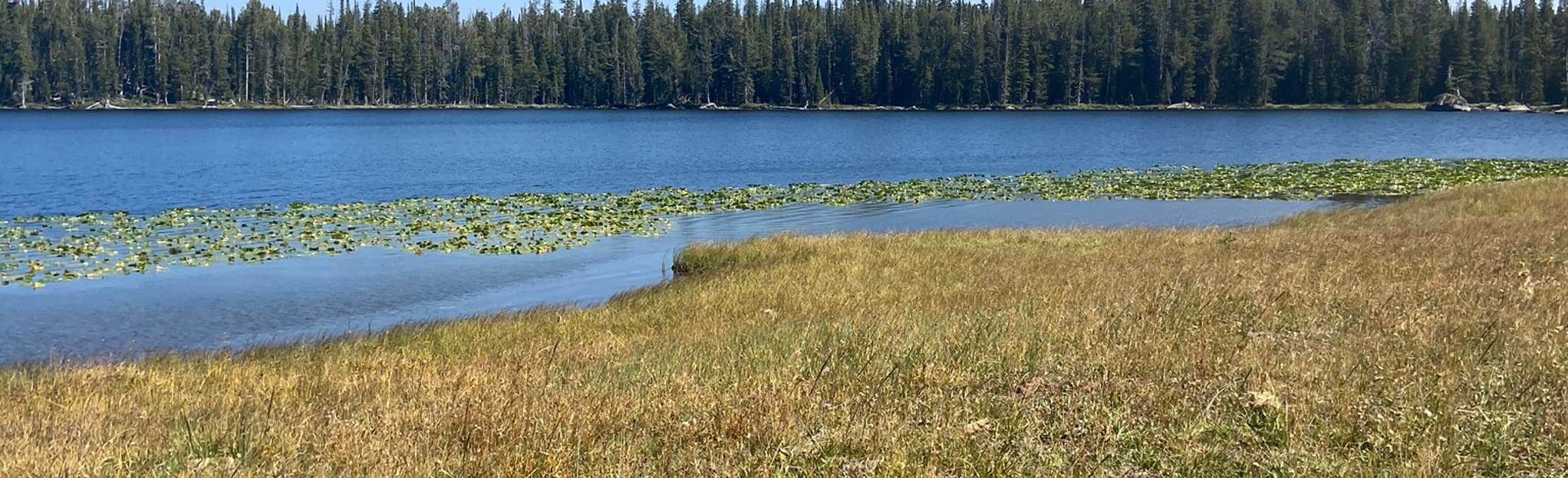 Seven Lake Loop, Montana - 3 Reviews, Map | AllTrails