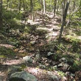 Horse Thief Spring and Ouachita Loop, Oklahoma - 188 Reviews, Map ...