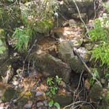 Horse Thief Spring and Ouachita Loop, Oklahoma - 188 Reviews, Map ...