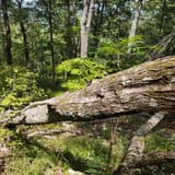Horse Thief Spring and Ouachita Loop, Oklahoma - 188 Reviews, Map ...