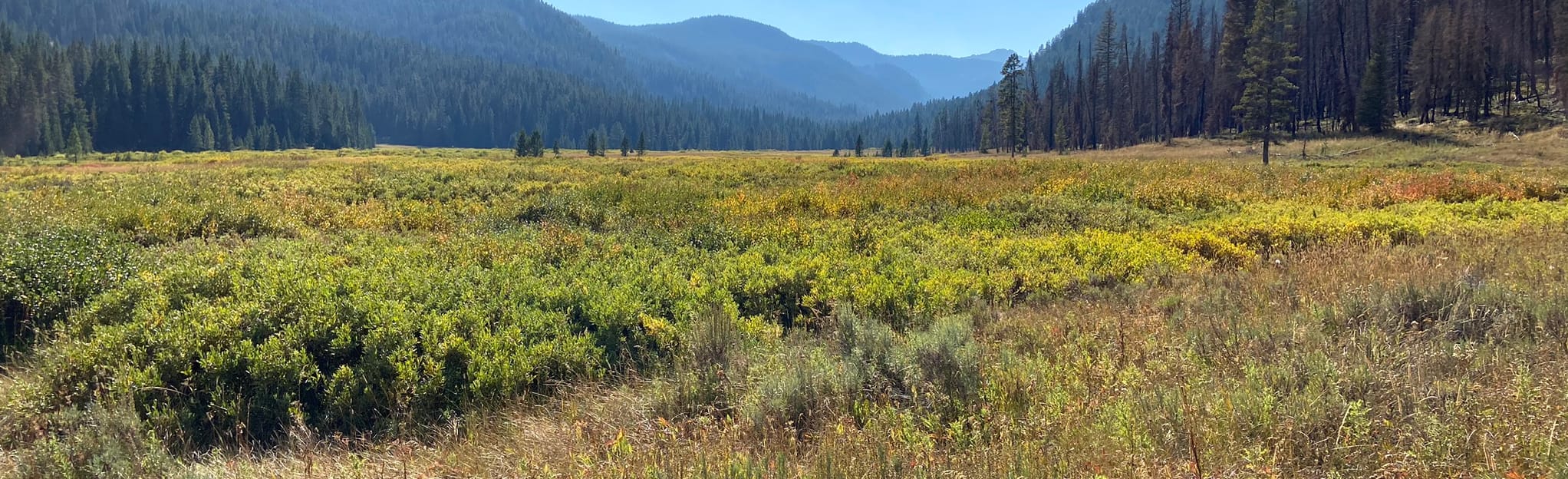 Bacon Rind Creek Trail, Montana - 85 Reviews, Map | AllTrails