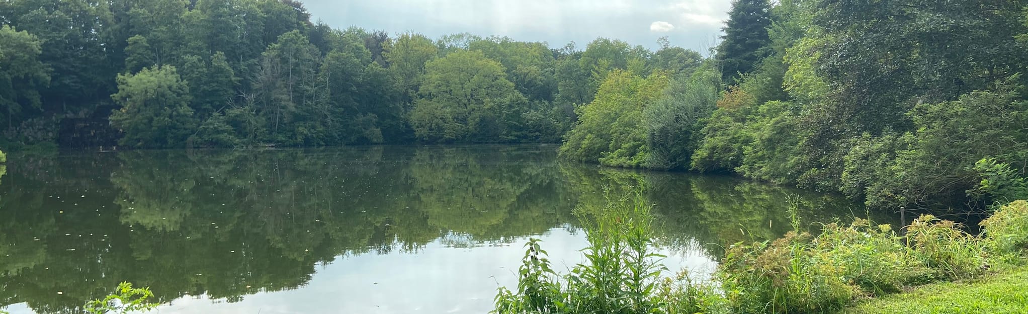 Great Falls Loop, New Jersey - 220 Reviews, Map | AllTrails