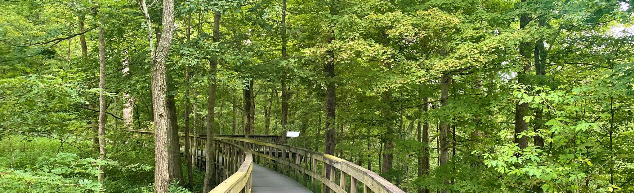 Echo River Spring and Sinkhole Loop, Kentucky - 580 Reviews, Map ...