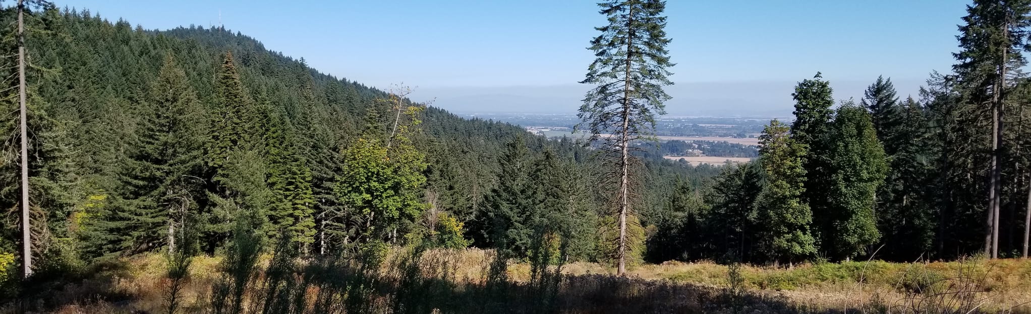 Sulphur Springs, Road 810 and Patterson 600 Trail Loop , Oregon - 18 ...