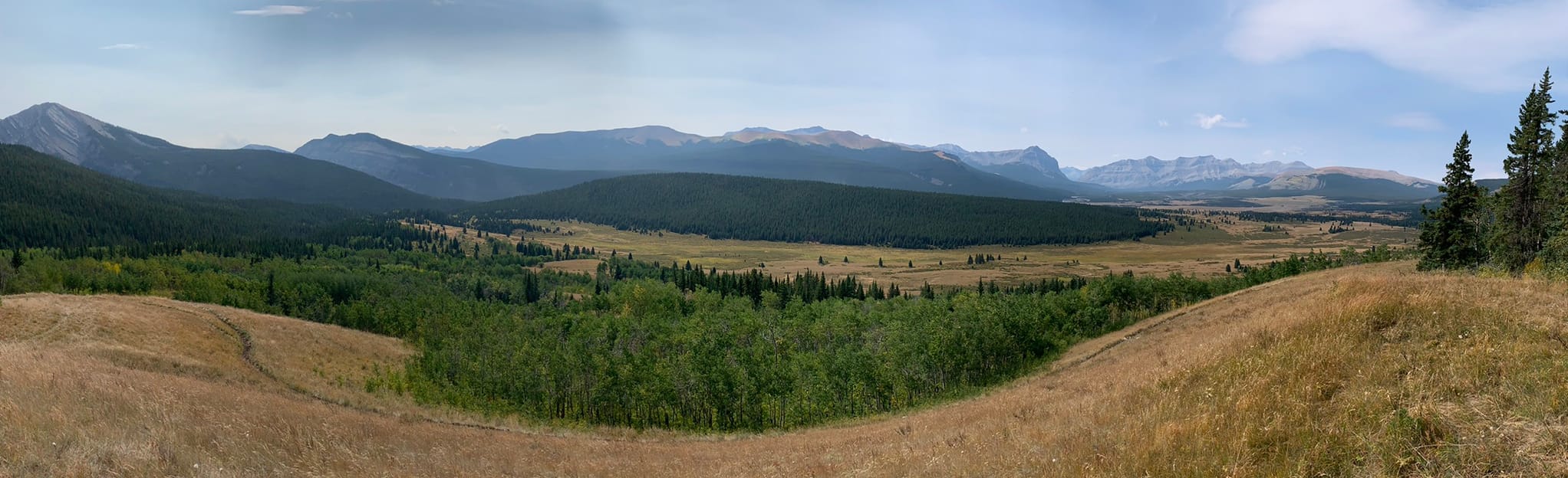 Poplar Peak (Rum Ridge): 4 Reviews, Map - Alberta, Canada | AllTrails