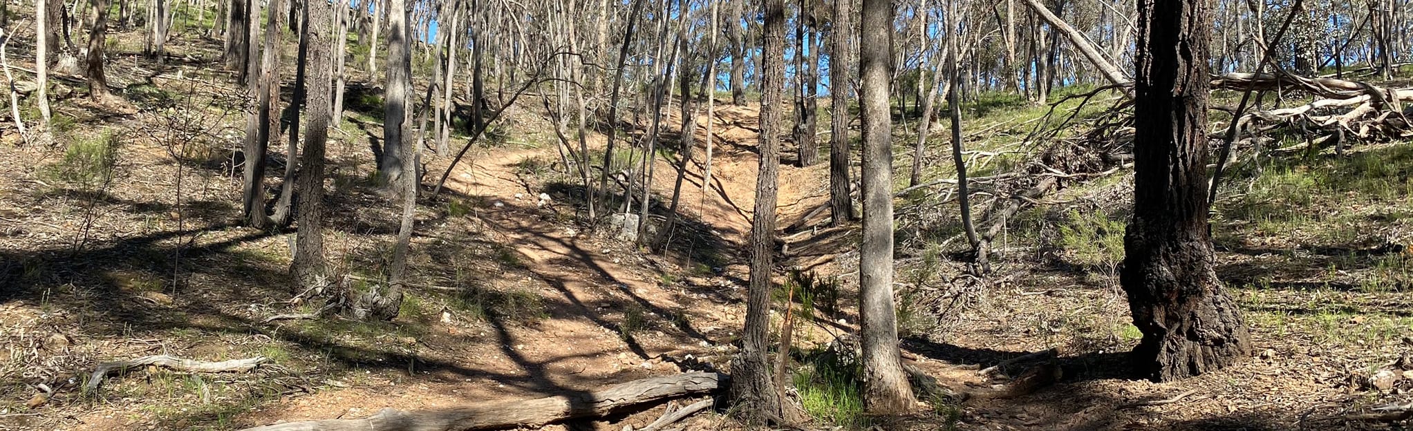 Spring and Back Creeks Trail: 35 Reviews, Map - Victoria, Australia ...