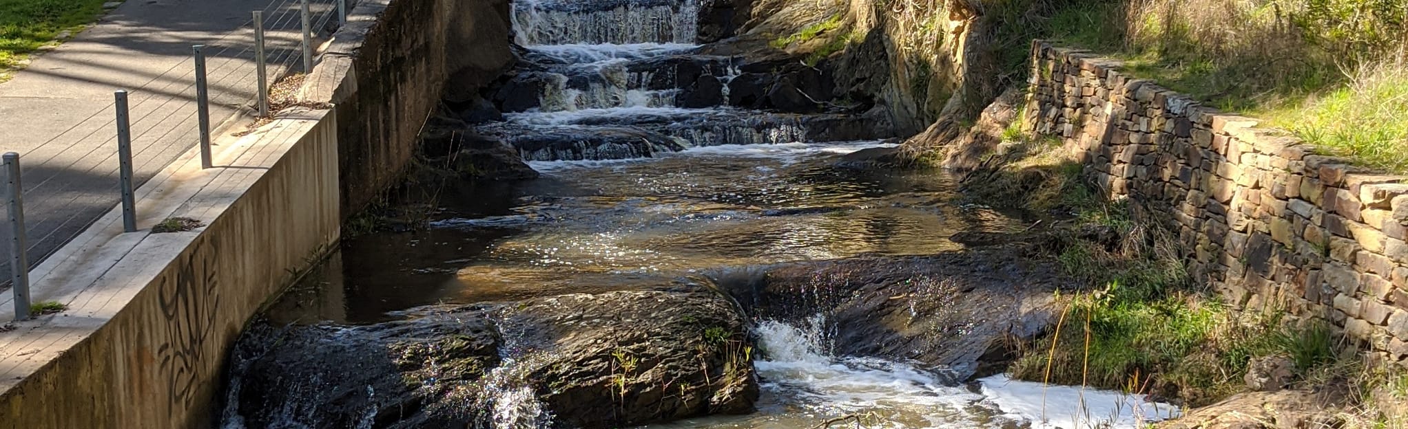 Tipperary Track [CLOSED]: 32 Reviews, Map - Victoria, Australia | AllTrails